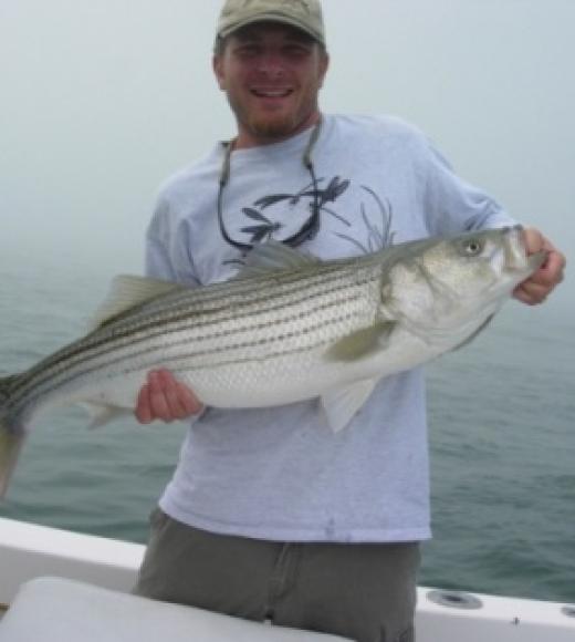 Mark Lubell | Agricultural Sustainability Institute